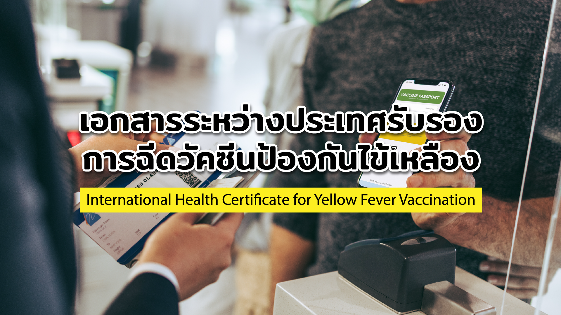 The countries of regions that are in the Yellow Fever Zone